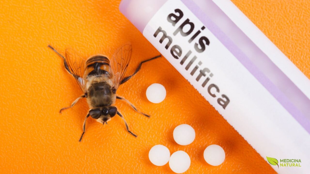 Apis Mellifica: Como Usar o Poder das Abelhas na Homeopatia